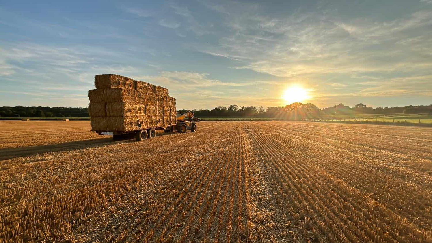 Our Story – Mainsgill Farmshop