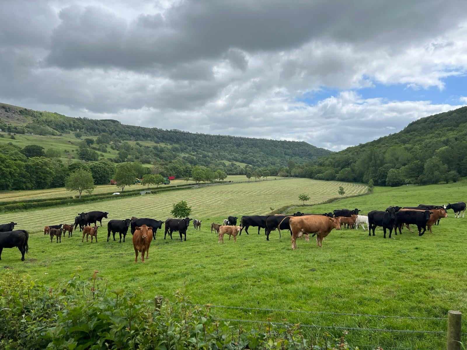 Our Story – Mainsgill Farmshop