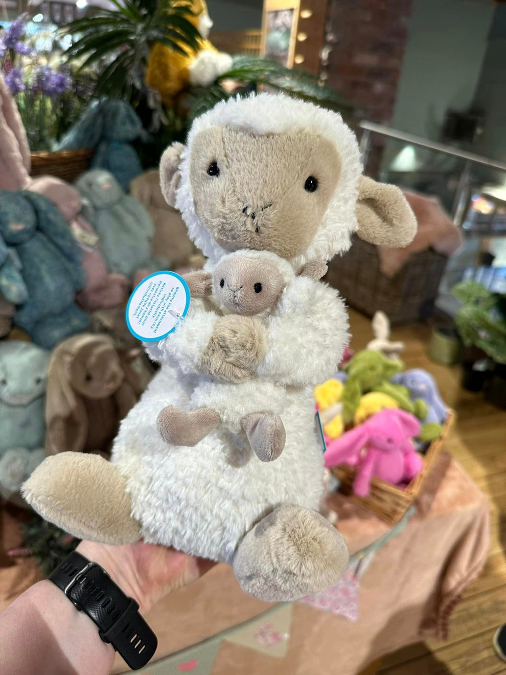Gift Hall – Mainsgill Farmshop