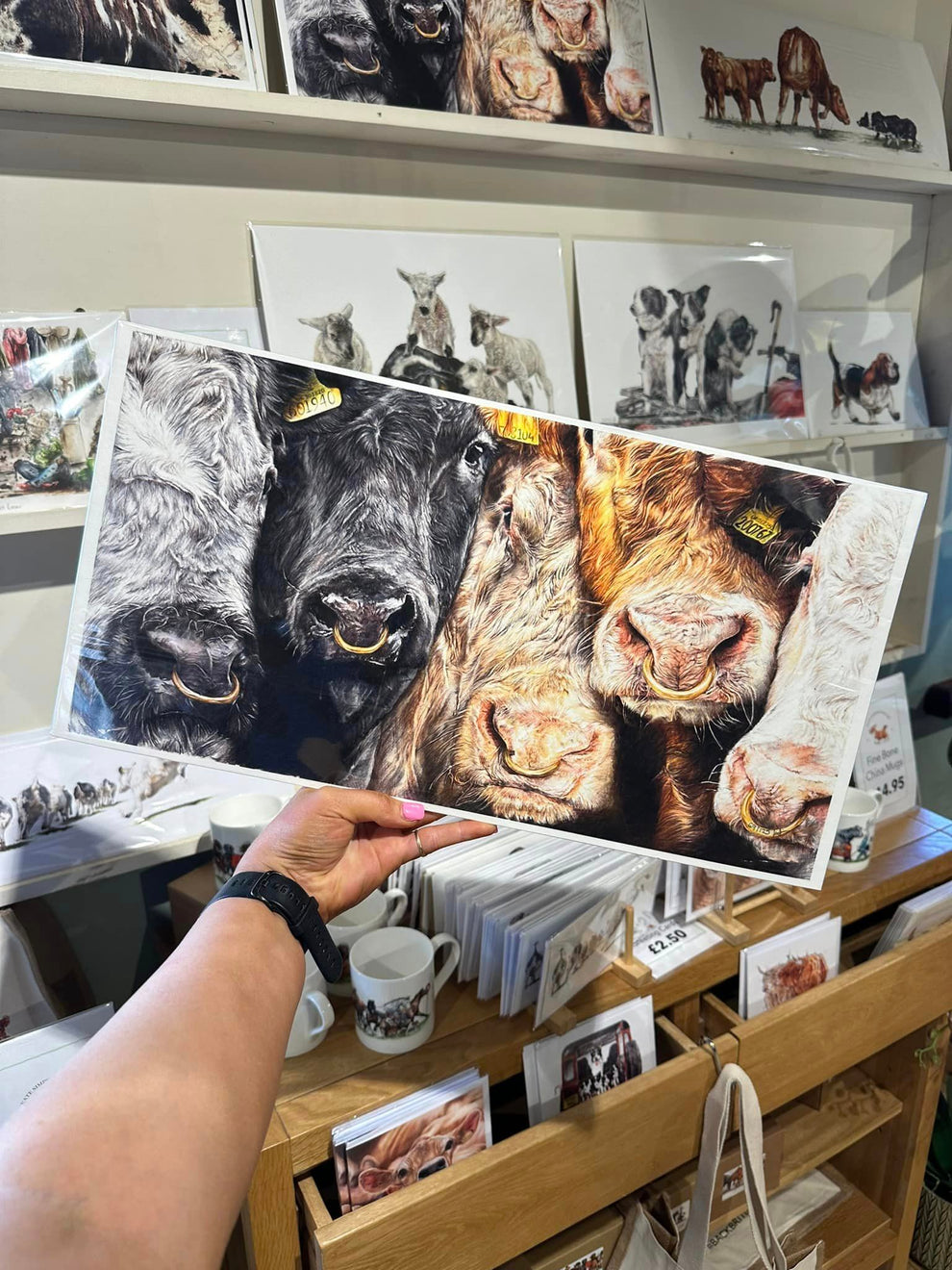 Gift Hall – Mainsgill Farmshop