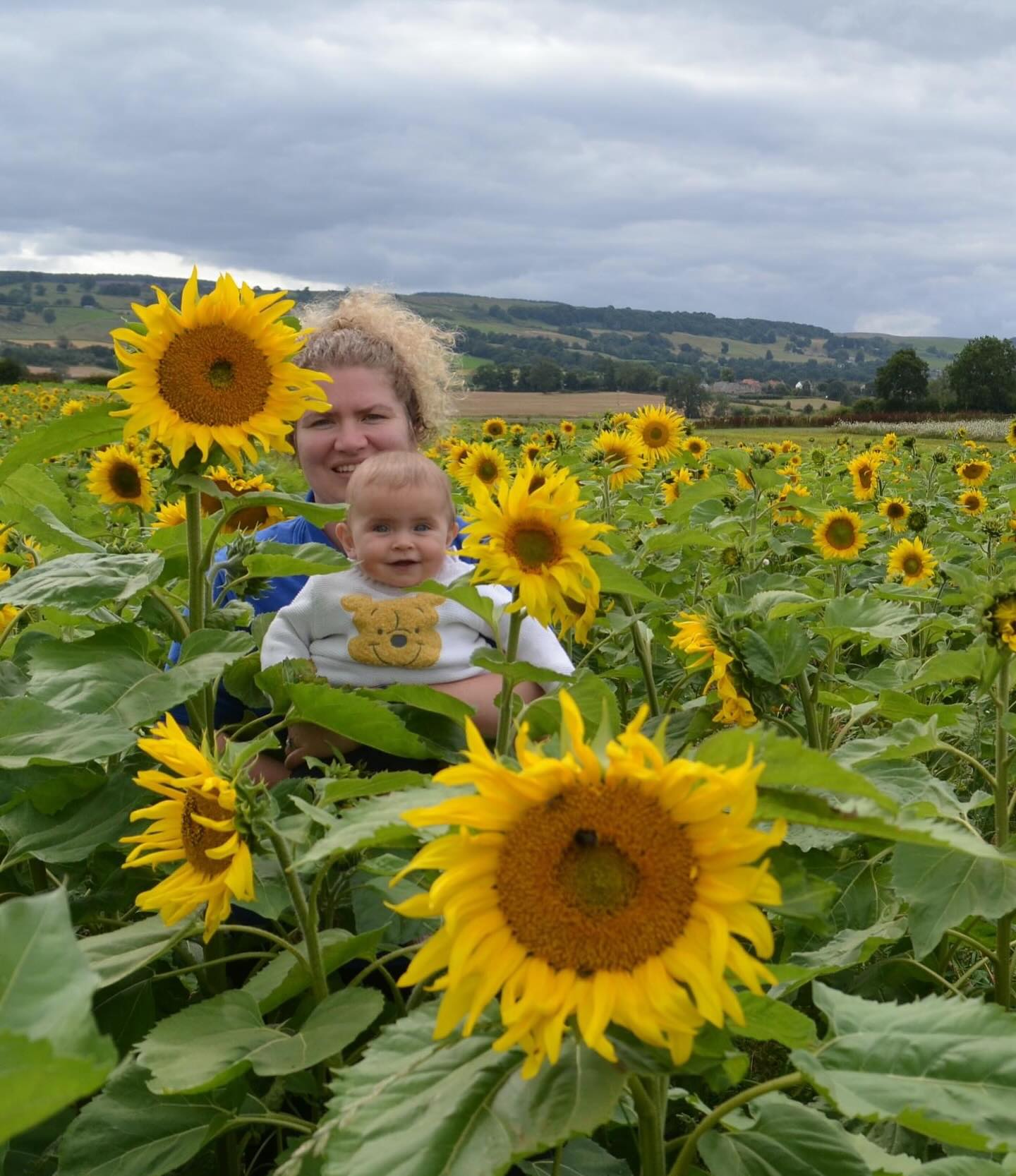 PYO Sunflower Patch – Mainsgill Farmshop