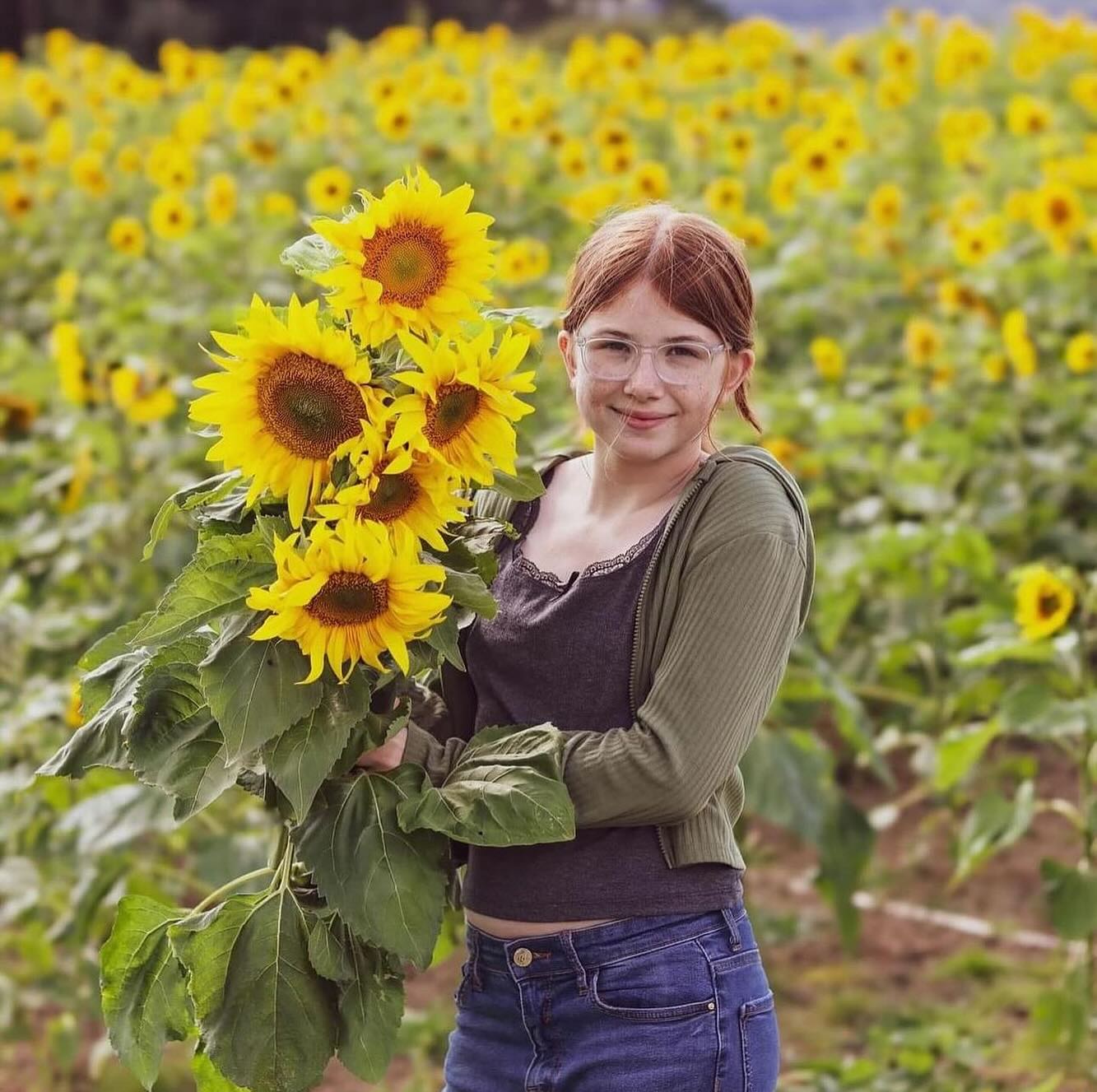 PYO Sunflower Patch – Mainsgill Farmshop